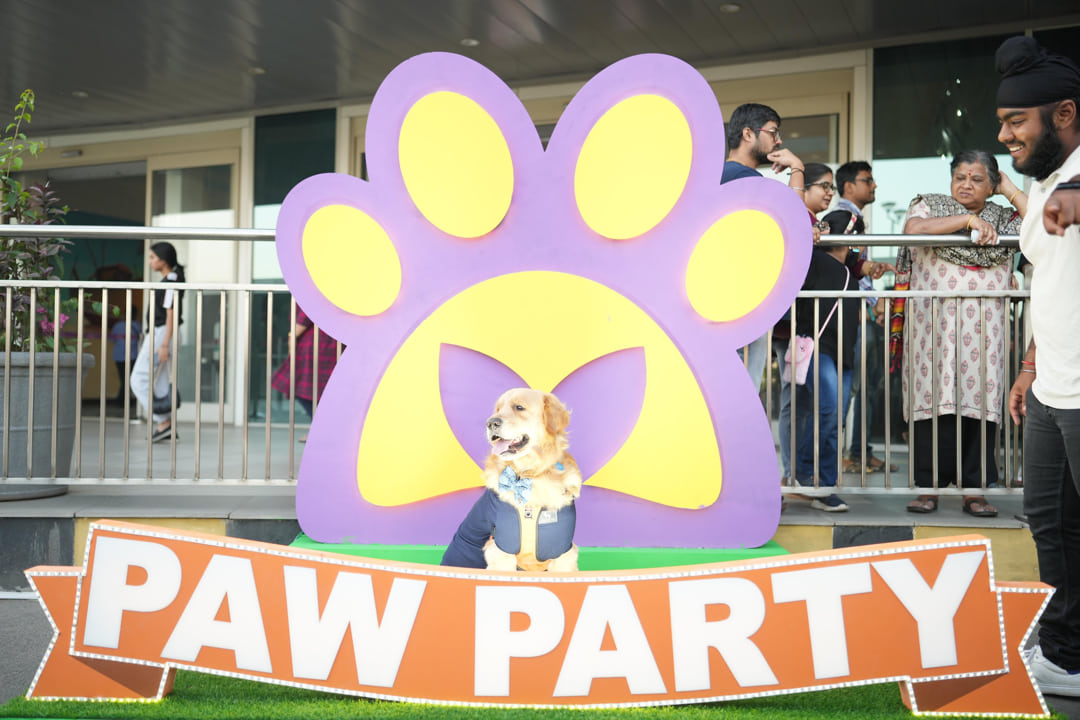 Paw Party Season 2: Nexus Seawoods Mall Invites all Mumbaikars for a ...